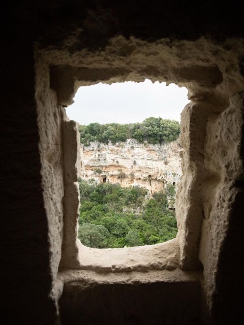 Tour tra i Templi dell'Olio e gli Olivi Patriarchi - Who Should Consider This Tour?