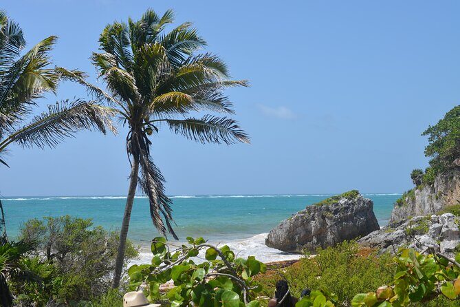 Tour Tulum, Cenote and Swim with Turtles in Akumal - Convenient Pickup and Transportation