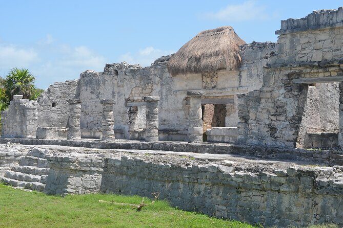Tour Tulum, Cenote and Swim with Turtles in Akumal - Culinary Highlights