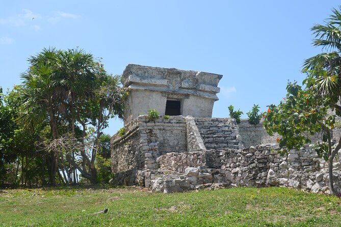Tour Tulum, Cenote and Swim with Turtles in Akumal - Practical Details and Value