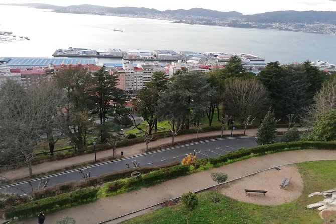 Tour Vigo and Santiago Compostela: Departure from Braga and Guimarães - Real Traveler Insights and Feedback