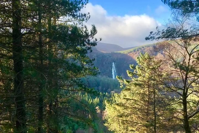 Tour Wicklow Mountains National Park in a Limo With Private Guide - Transportation and Vehicle Details