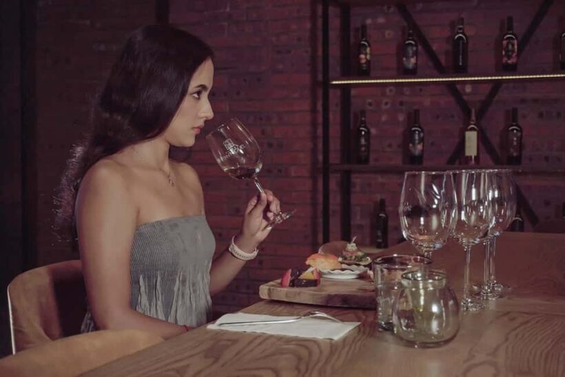 Tour & Wine Tasting San Miguel Vineyard / San Miguel Experience - Discovering the Vineyard: A Guided Journey