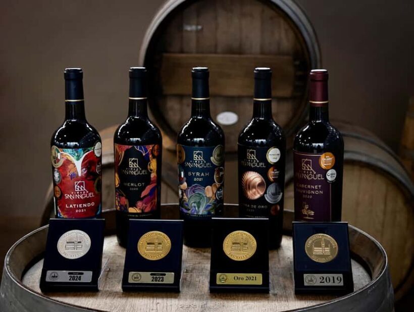 Tour & Wine Tasting San Miguel Vineyard / San Miguel Experience - The Experience: What It’s Like for Travelers