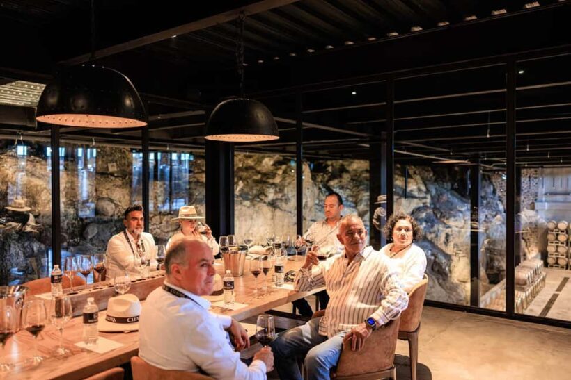 Tour & Wine Tasting San Miguel Vineyard / San Miguel Experience - Who Should Consider This Tour?