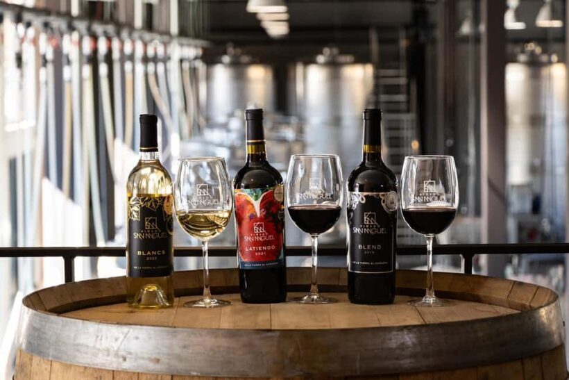 Tour & Wine Tasting Viñedo San Miguel / San Bartolo Experience - Key Points