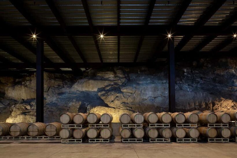Tour & Wine Tasting Viñedo San Miguel / San Bartolo Experience - The Sum Up