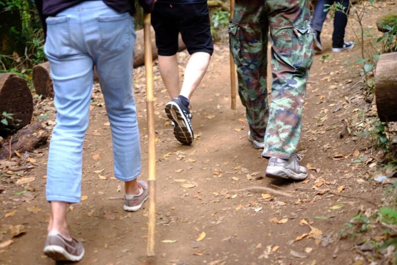 Tour with Hike in Kiew Mae Pan Natural Trail from Chiang Mai - Key Points