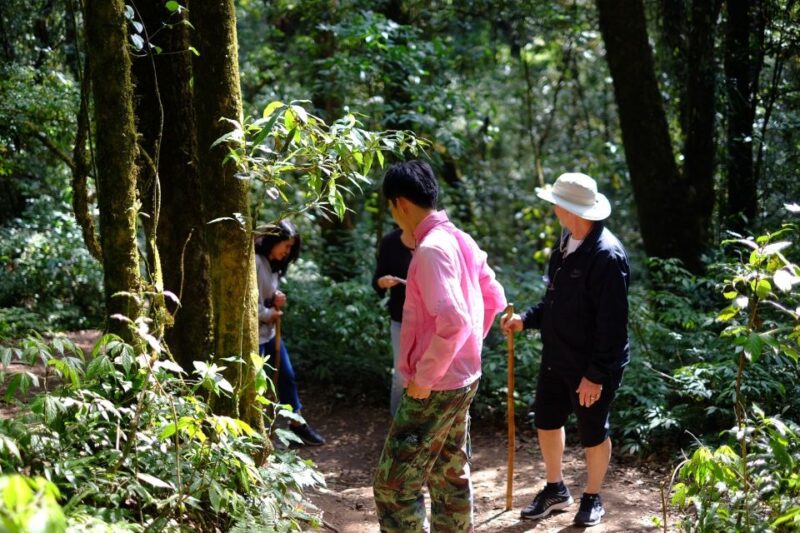 Tour with Hike in Kiew Mae Pan Natural Trail from Chiang Mai - FAQs