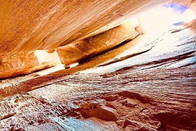 Tour With the Mountain Train, Trek to Mystic Forest and Castle - Health and Safety Considerations