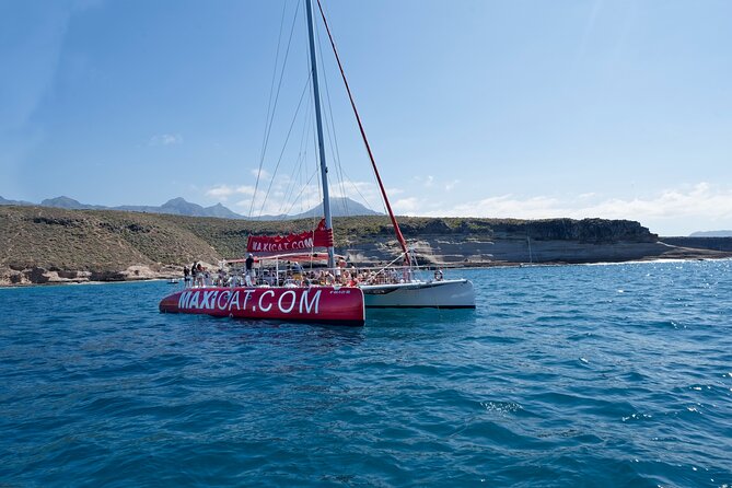 Tour With Whale and Dolphin Watching Plus Food Included - Inclusions and Accessibility