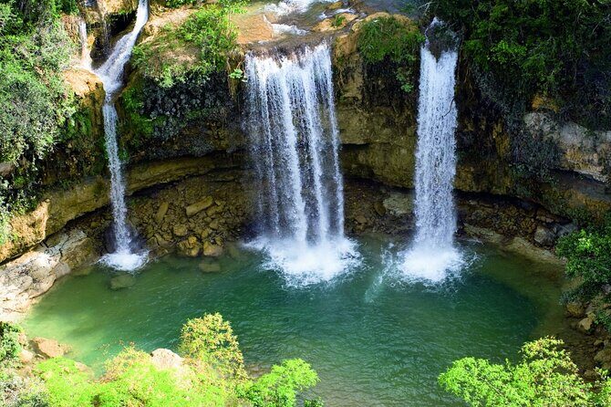 Tour with Whale Watching in Samaná, Beach and Waterfall - What to Expect from the Itinerary