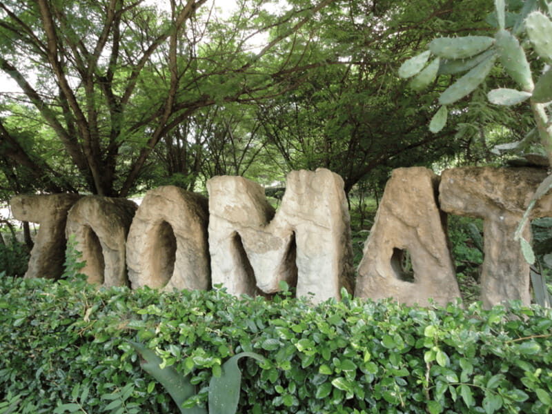 Tour ZOOMAT, Christ of Chiapas, Sumidero Canyon Viewpoints in Spanish - Final Thoughts