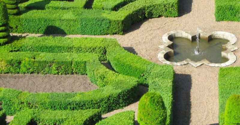 Touraine: Château d'Amboise and Château du Clos Lucé Tour - The Sum Up: Who This Tour Is Perfect For