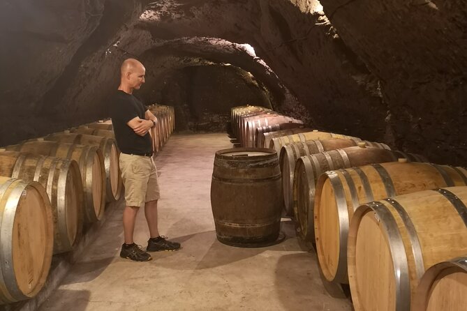 Touraine-Chenonceau Private Tour - Transportation and Accessibility