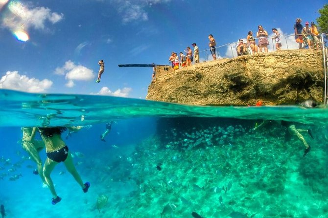 Tourist White Train - Tour Around the Island - Accessibility and Participation