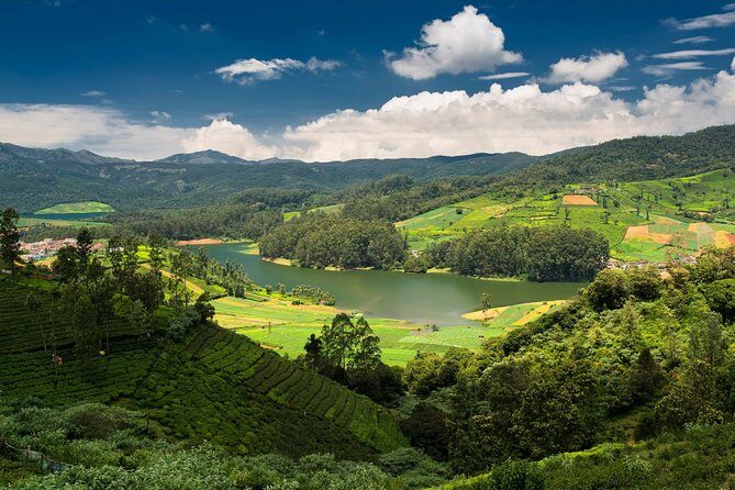 Touristic Highlights of Ooty (Guided Full Day City Sightseeing Tour by Car) - The Full Breakdown: What to Expect from the Tour