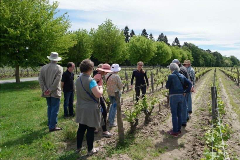 Tours/Amboise: Private day trip Chambord, Blois & Cheverny - Key Points