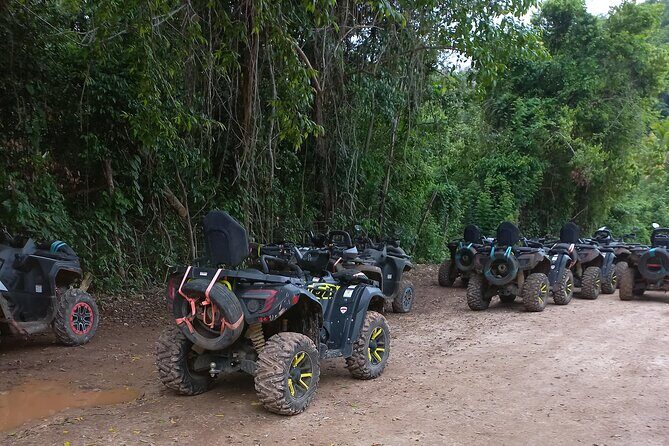 Tours and Excursions in Jamaica - FAQ