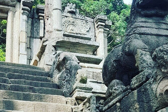 Tours and Transportation in Sri Lanka - A Detailed Breakdown of the Experience