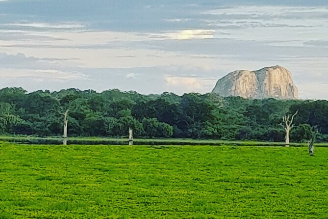 Tours and Transportation in Sri Lanka - FAQs