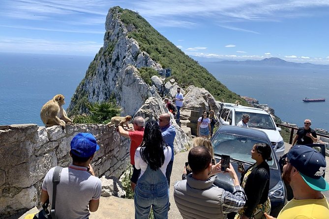 Tours of Gibraltar - STANDARD TOUR - Barbary Monkeys and Nature Reserve