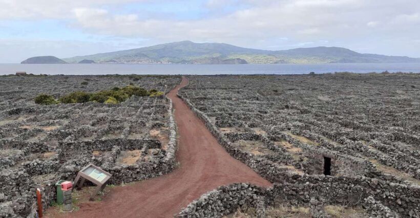 Tours on Pico Island - Cultural and Natural Landscape - Final Thoughts