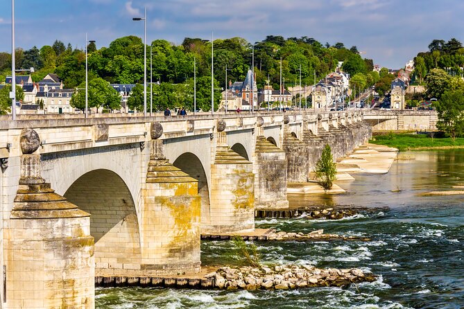 Tours Private Walking Tour With A Professional Guide - Key Points