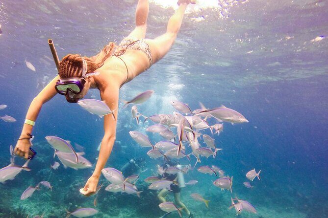 Tours to Saona Island - A Detailed Look at the Saona Island Tour Experience