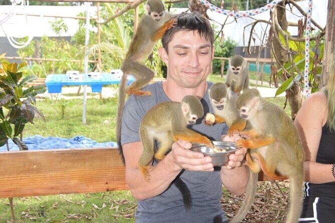 Tours to Tyroleza Waterfalls and Monkeys 3 Tours in One - The Sum Up: A Well-Rounded Day with Authentic Flavors