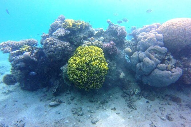 Tours_Singapore_Private Tour Batam Island Reef Snorkel And Kayak Day Trip From Singapore_D60449 38917P7 Review - An In-Depth Look at the Tour Experience