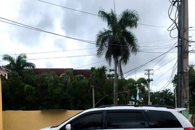 Tous/excursión/puerto plato,los 27 charcos de damajagua tour - Final Thoughts