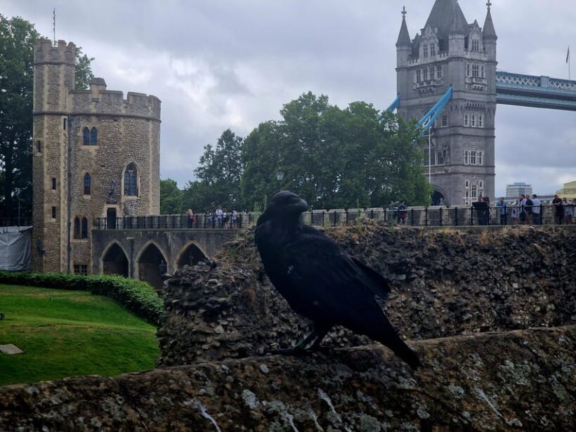 Tower of London Crown Jewels and English Royal History Tour - Final Thoughts