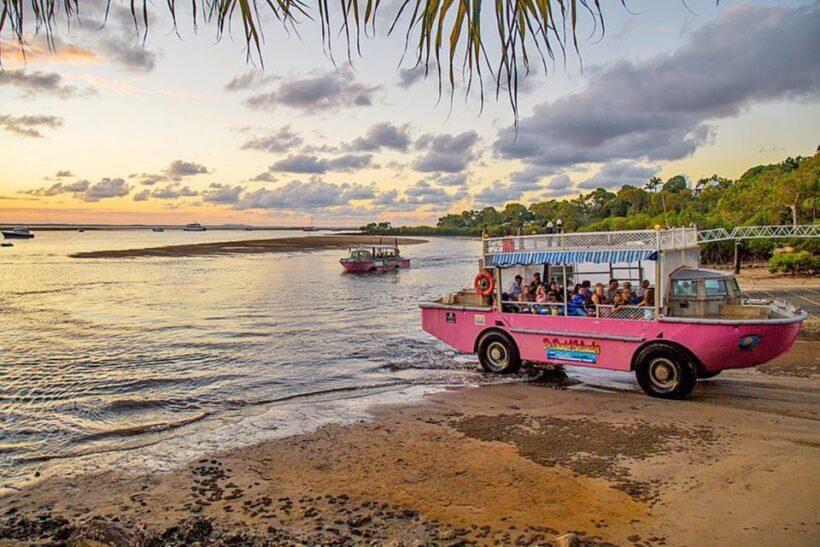Town 1770: Afternoon Coastline Tour - Authentic Perspectives from Travelers