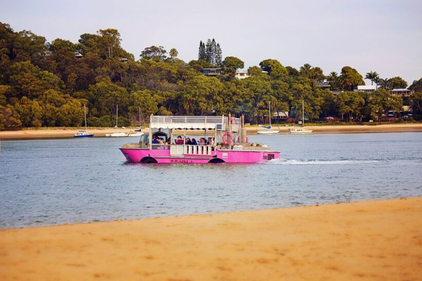 Town 1770: Afternoon Coastline Tour - The Experience Provider: 1770 LARC! Tours