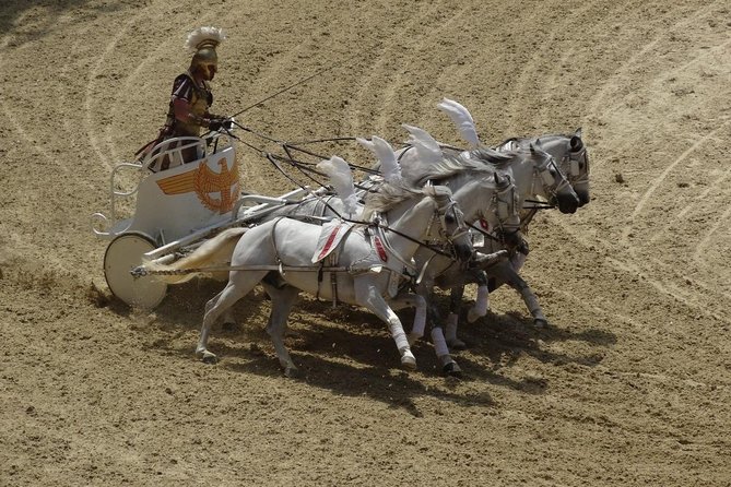 Town Car Port Civitavecchia - Private Service - Pricing and Value