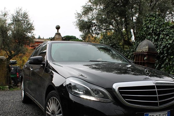 Town Car Port Civitavecchia - Private Service - Who Should Book This Transfer?