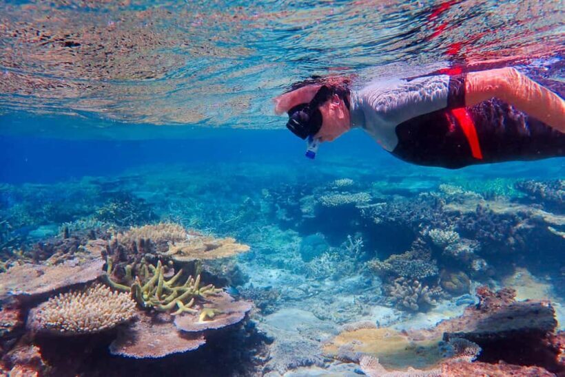 Townsville: Great Barrier Reef and MOUA Snorkeling Day Tour - The Itinerary: What to Expect