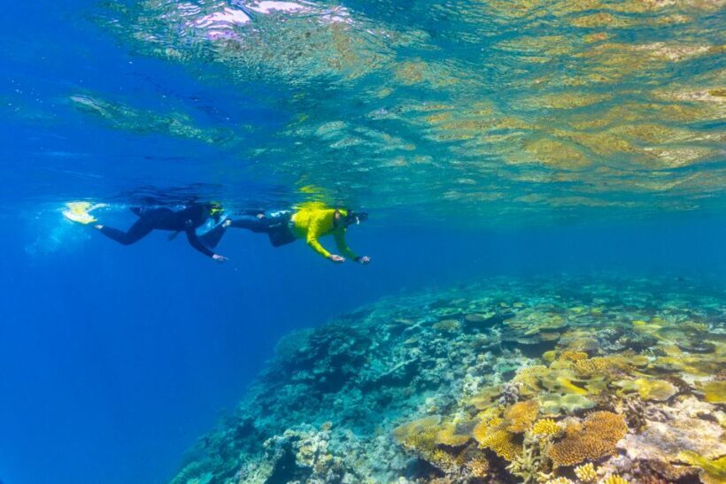 Townsville & Magnetic Island: MOUA & Great Barrier Reef Trip - Key Points