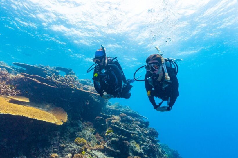 Townsville & Magnetic Island: MOUA & Great Barrier Reef Trip - An Overview of the Tour Experience