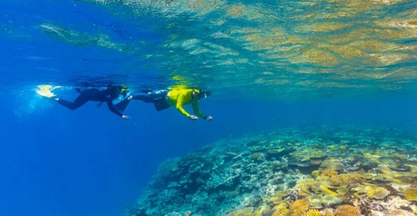 Townsville & Magnetic Island: MOUA & Great Barrier Reef Trip - Snorkeling & Diving Details