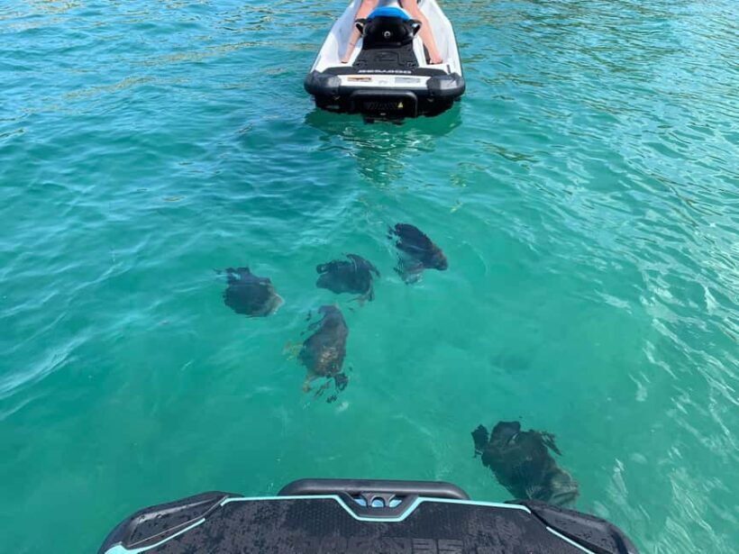 Townsville: Magnetic Island Snorkeling by Jet Ski - Key Points