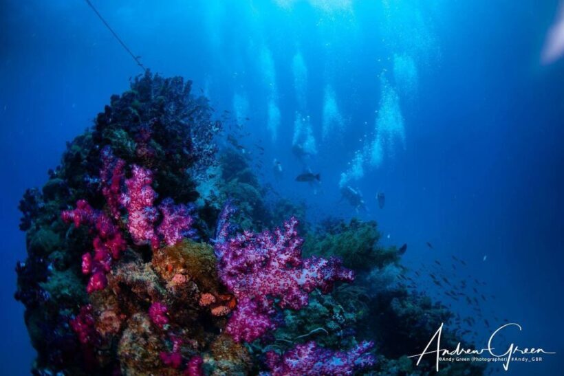 Townsville or Magnetic Island: Yongala Wreck Dive Day Trip - Introduction: Why Consider the Yongala Wreck Dive Day Trip?