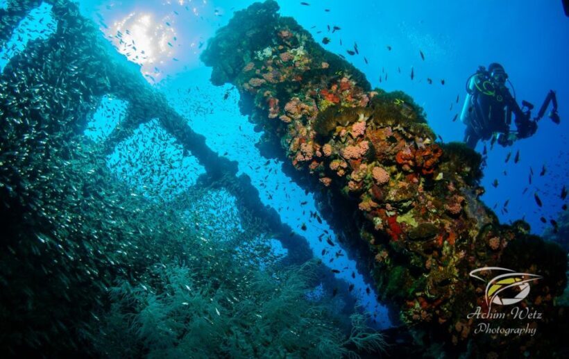 Townsville or Magnetic Island: Yongala Wreck Dive Day Trip - FAQ