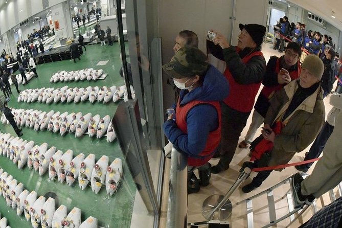 Toyosu Market Morning Tuna Auction and Tsukiji Food Tour with Licensed Guide - Wandering Tsukiji: The Historic Food Hub