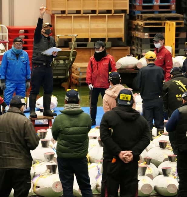 Toyosu market; Tuna Auction morning tour - The Itinerary: What You Can Expect