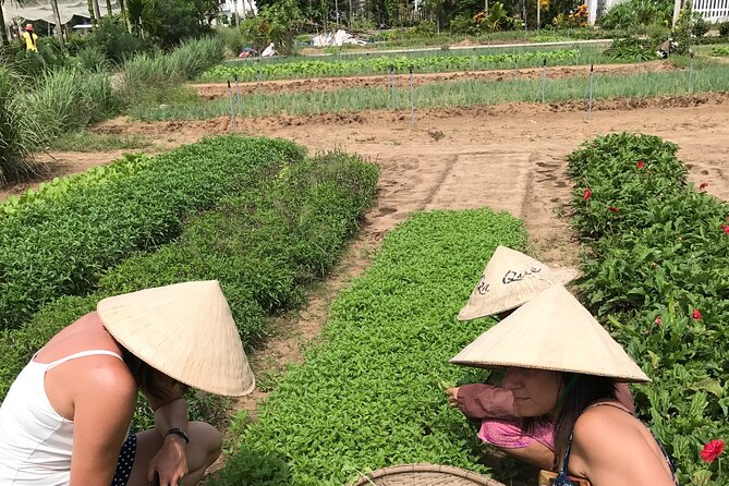 Tra Que Village Cycling And Farming - FAQ