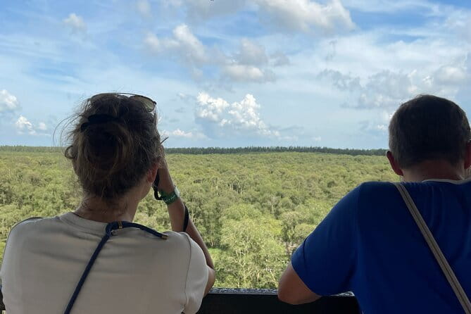 Tra Su Cajuput Forest An Cairang Floating Market - Practical Details and What You Should Know