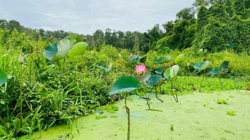 Tra Su Forest Full Day Tour From Can Tho city - Key Points