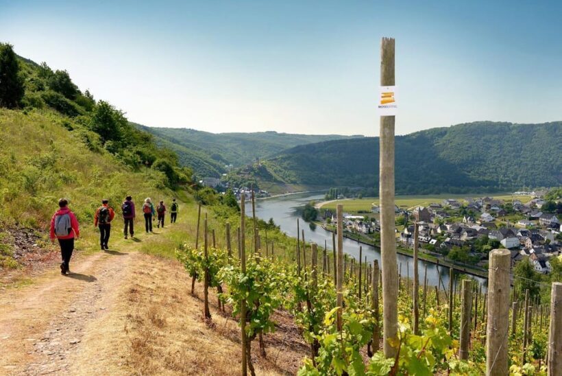 Traben-Trarbach / Bernkastel-Kues, Moselle: Wine experience hike - Key Points